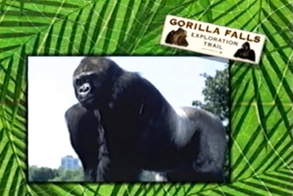 Disney’s Animal Kingdom 1998 | A New Species of Theme Park