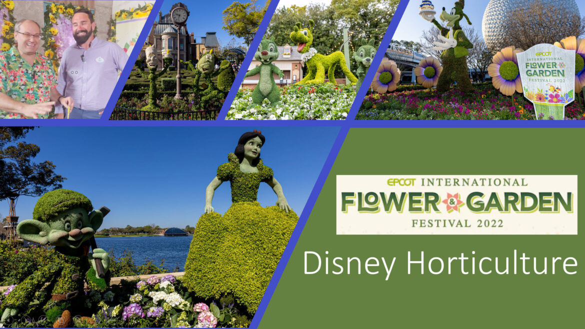Epcot Flower and Garden Festival 2022 | Disney Horticulture | Topiaries ...