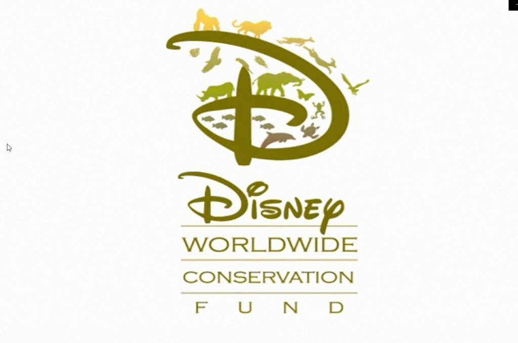 Disney Conservations Fund Ensuring the Future of Wildlife