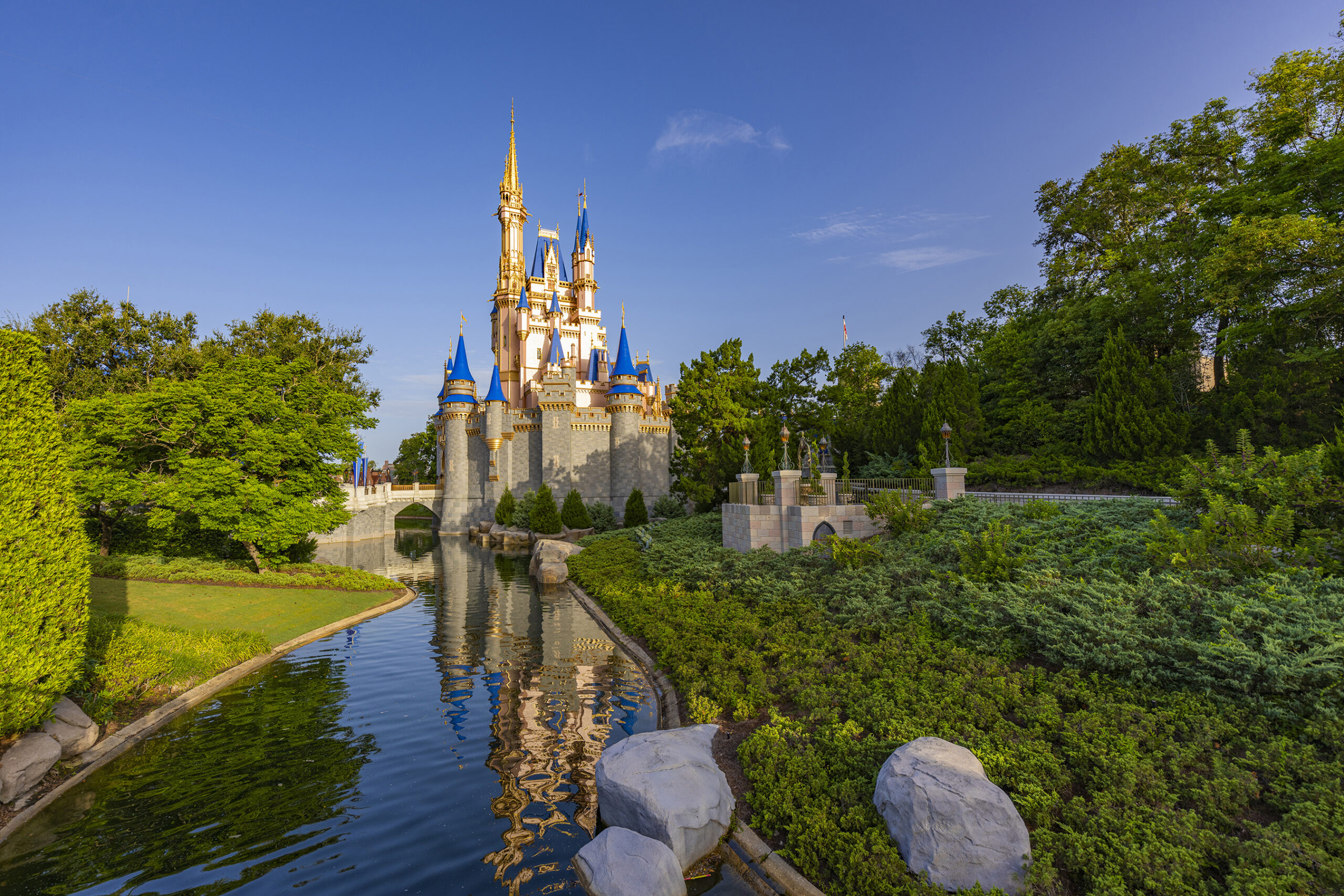 Disney Castle Landscape