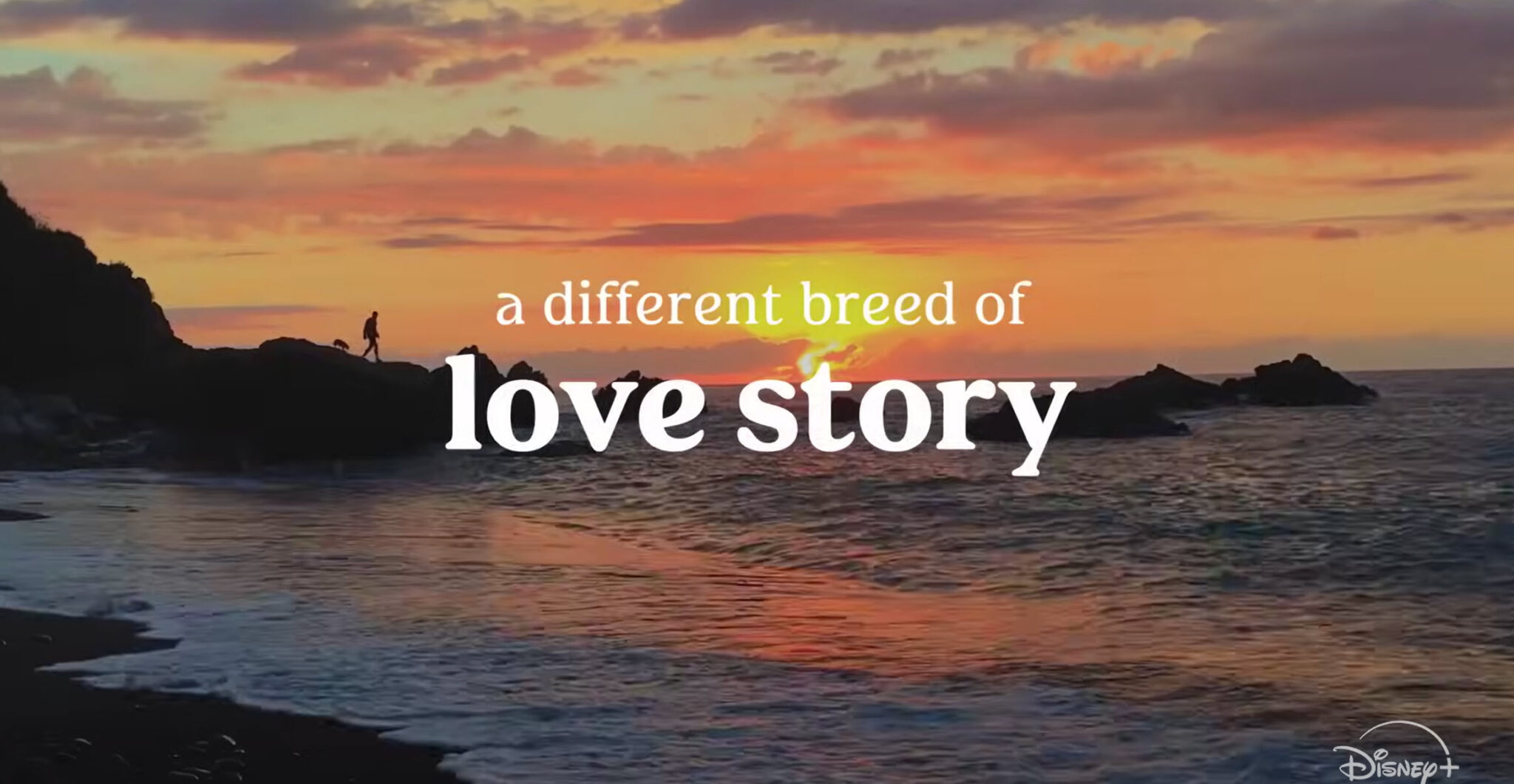 Disney+ Documentary Pets – Heartwarming Animal Stories