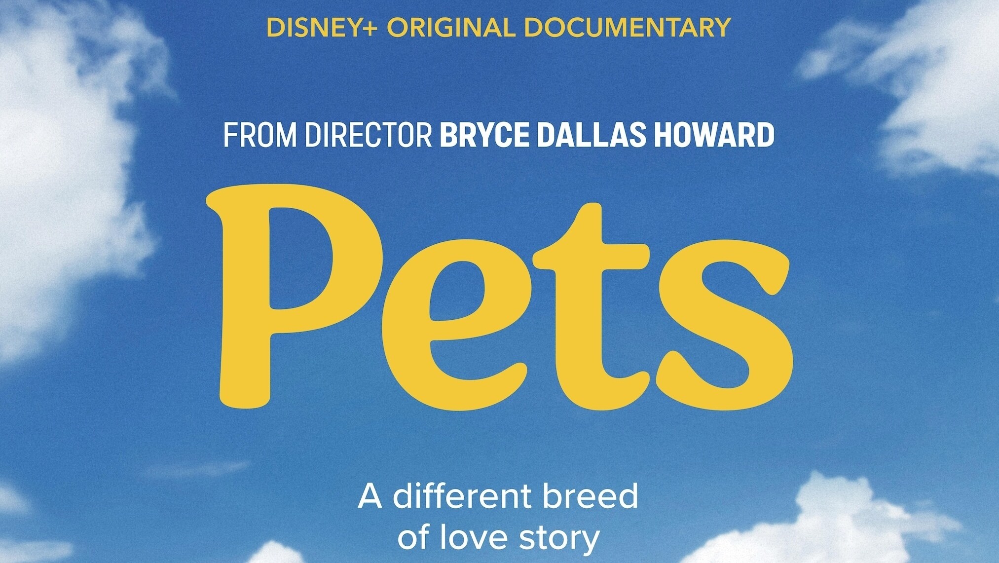 Disney+ Documentary Pets – Heartwarming Animal Stories